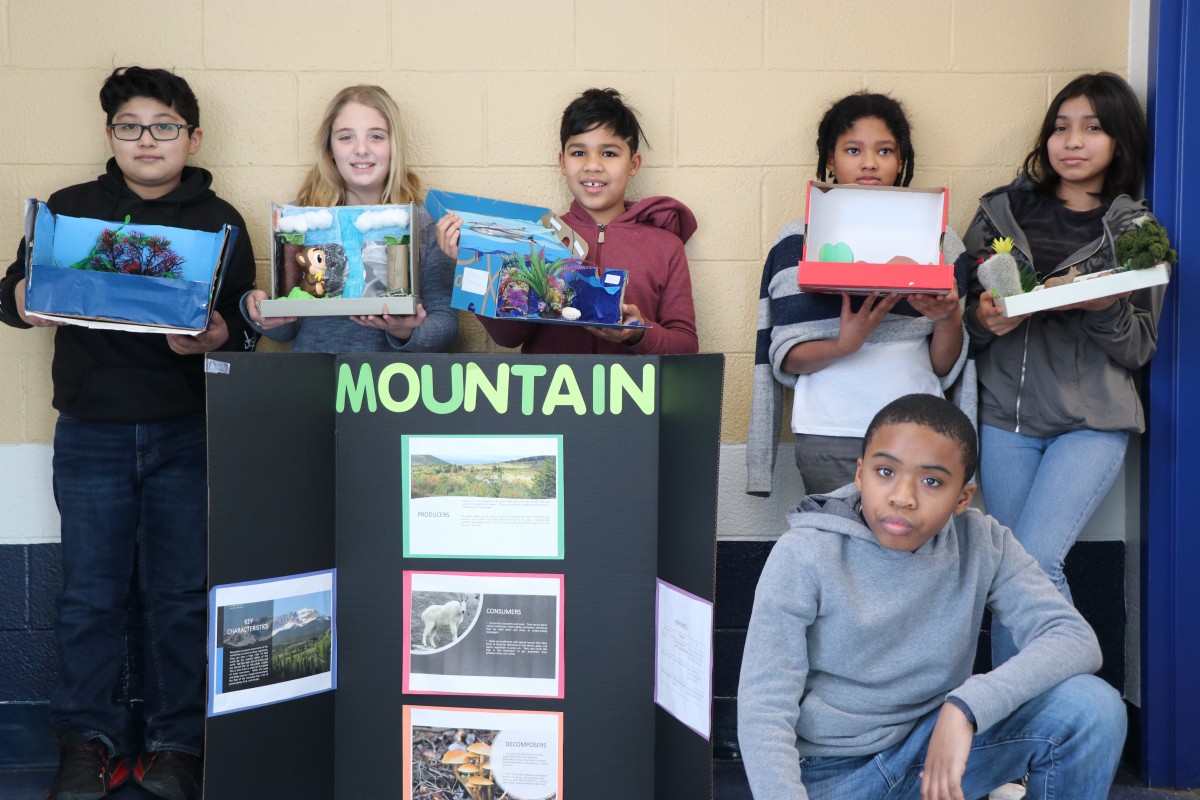 Fostertown 5th Graders Become "Experts" on Ecosystems- News - NECSD